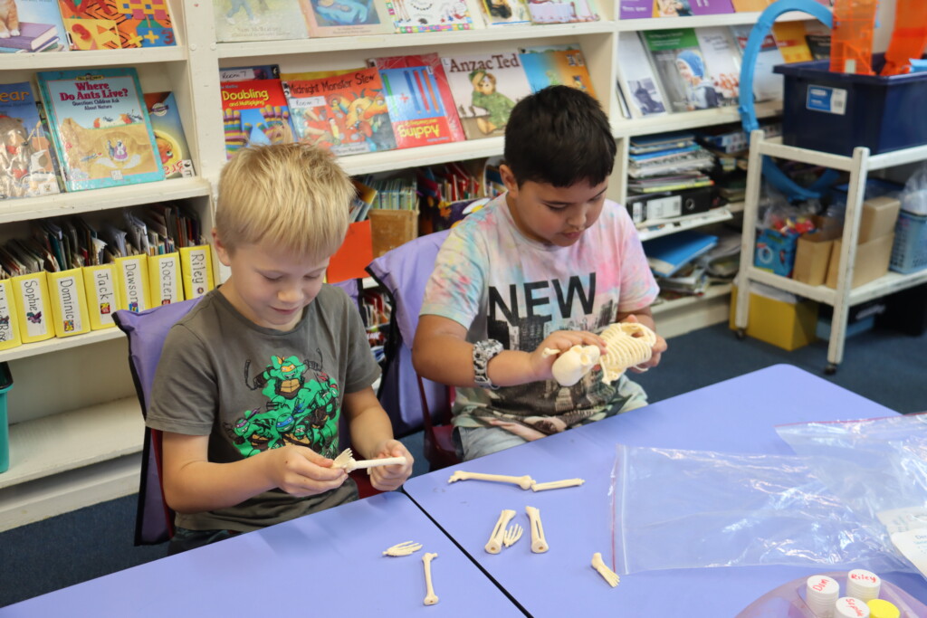 Learning Focus Areas - Tawhai School