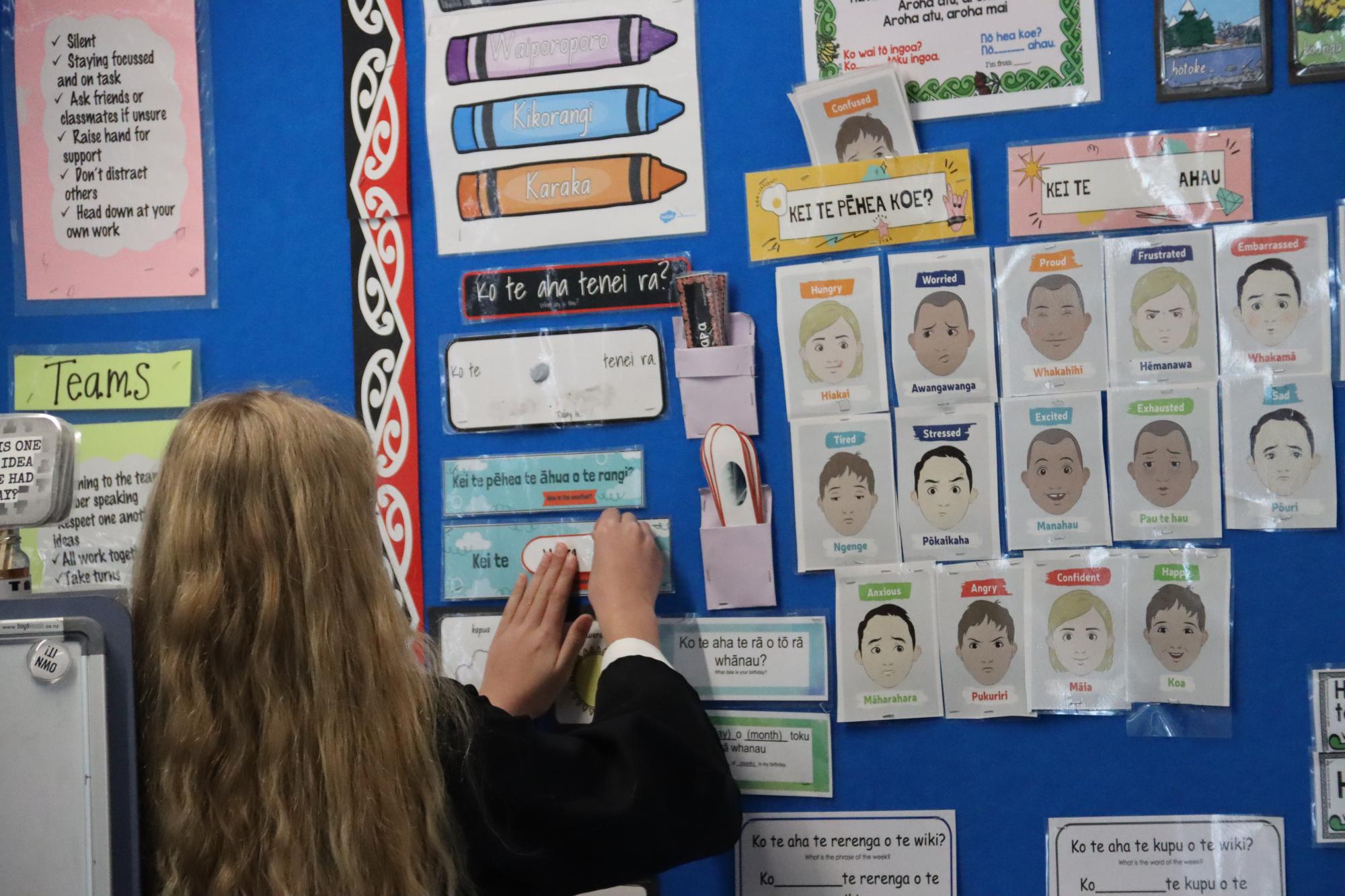 Learning Focus Areas - Tawhai School